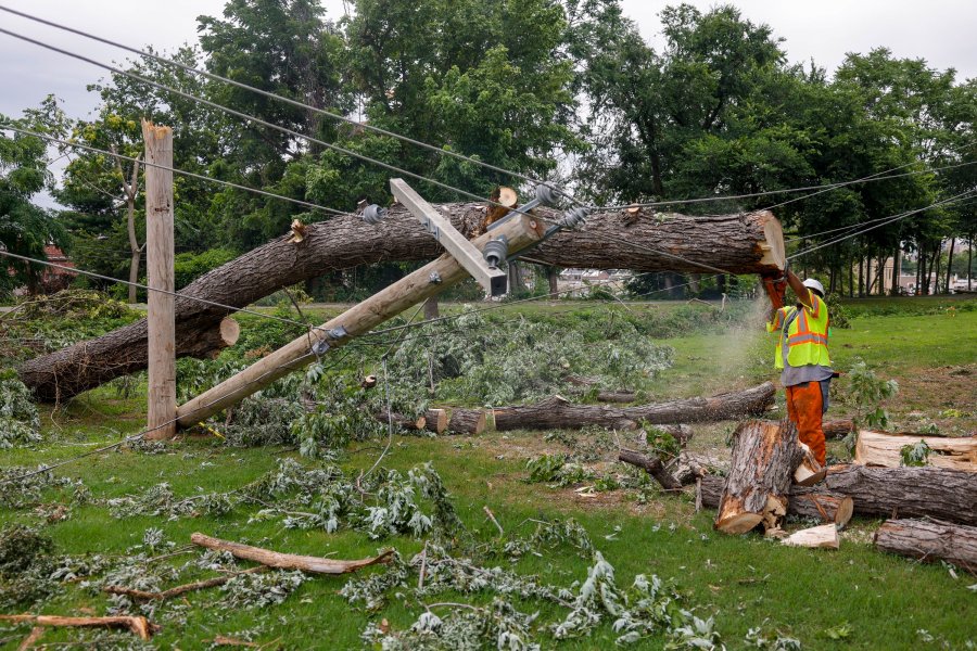Utility company, homeowner resolve tree standoff after deputy intervenes
