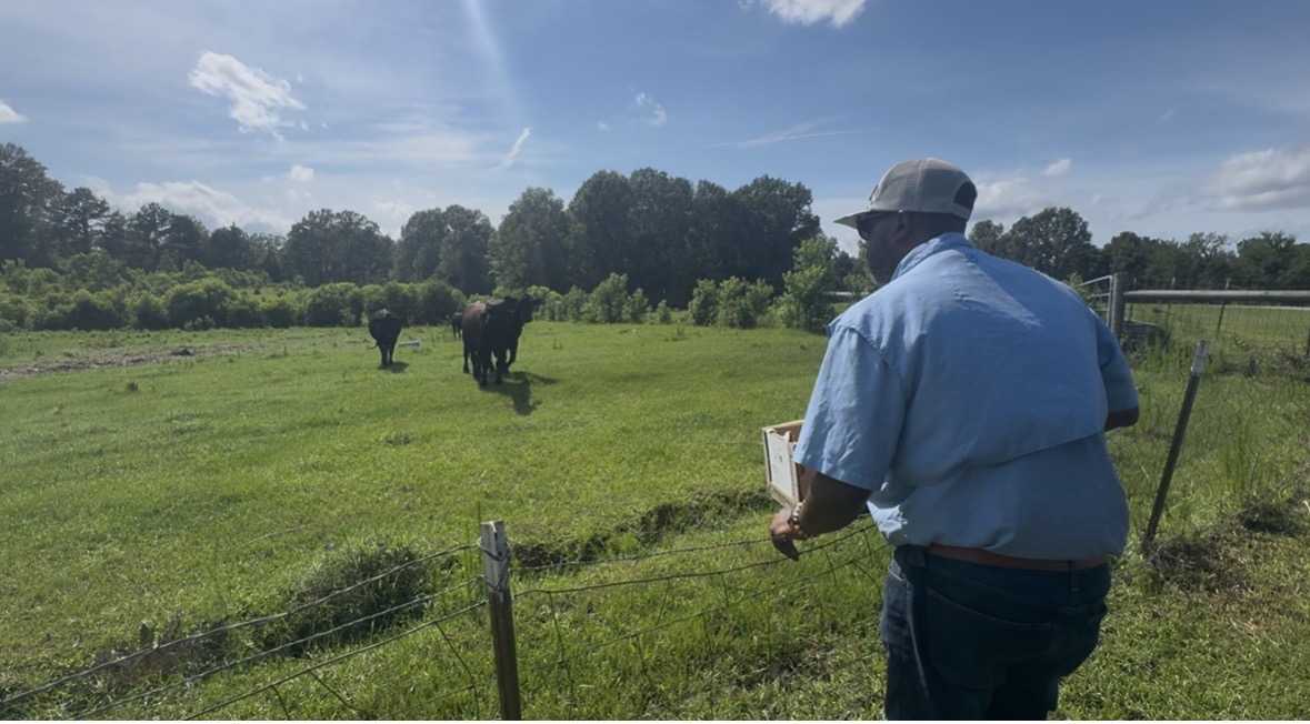 Jackson’s food desert problem sparks new partnership with local urban farm