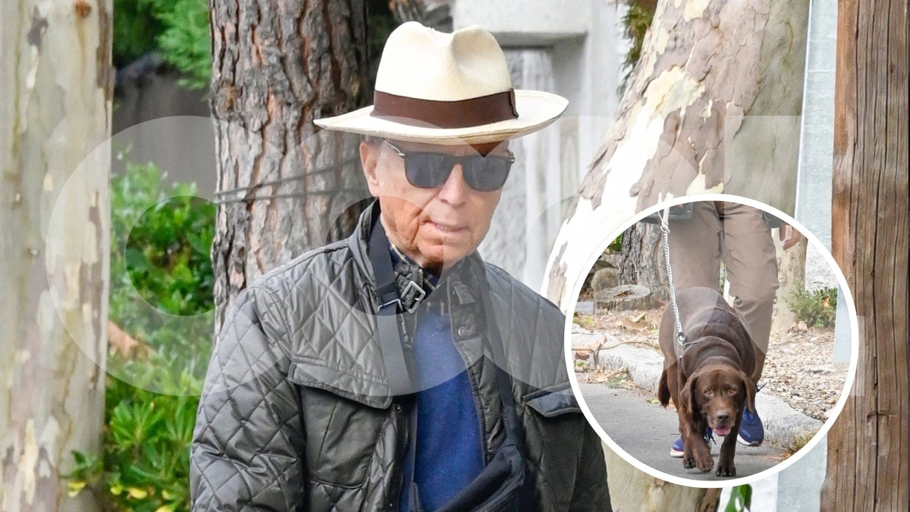 Ortega Cano asume la muerte de su perrito Turrón con la experiencia de ...