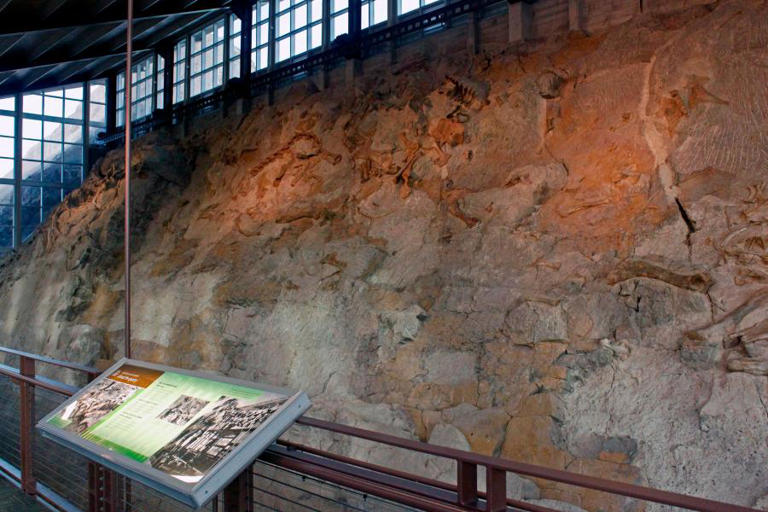 Dinosaur National Monument to implement Stage 1 fire restrictions