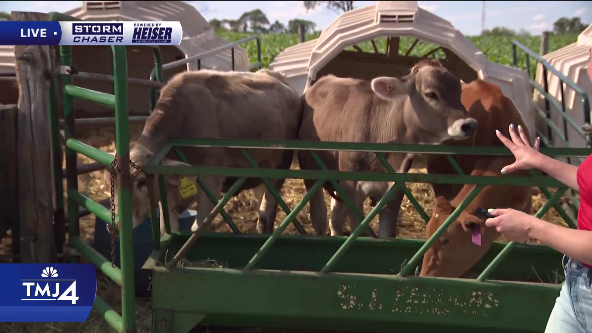 Lauren Larsen was in the community on Tuesday at Cozy Nook Farm