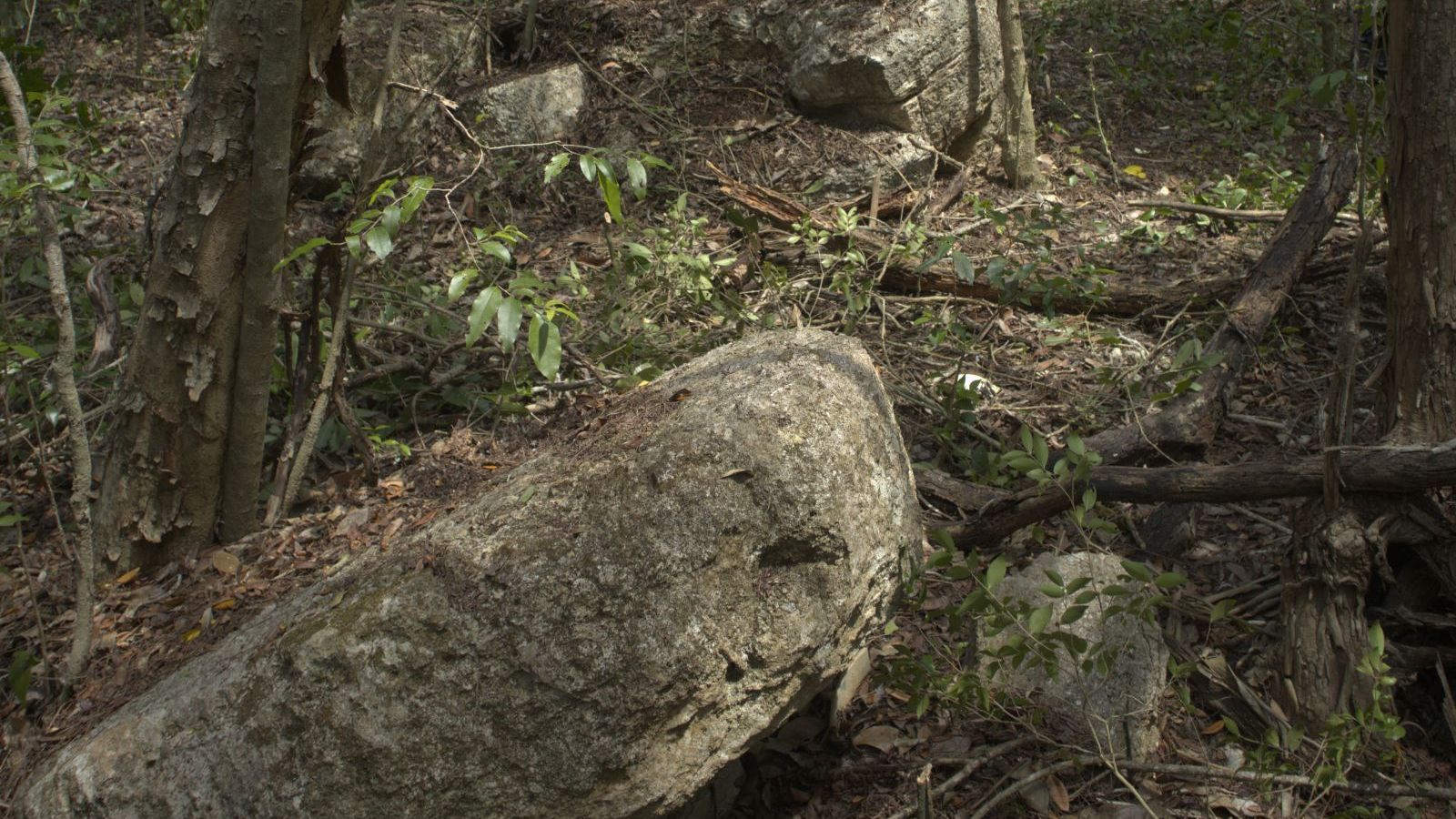 Mexiko: Unberührte Maya-Stätte im Dschungel entdeckt