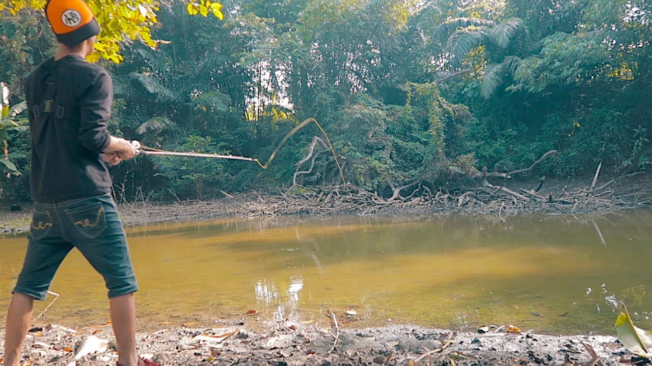 Mencari lokasi ikan gabus besar dengan teknik baitcasting