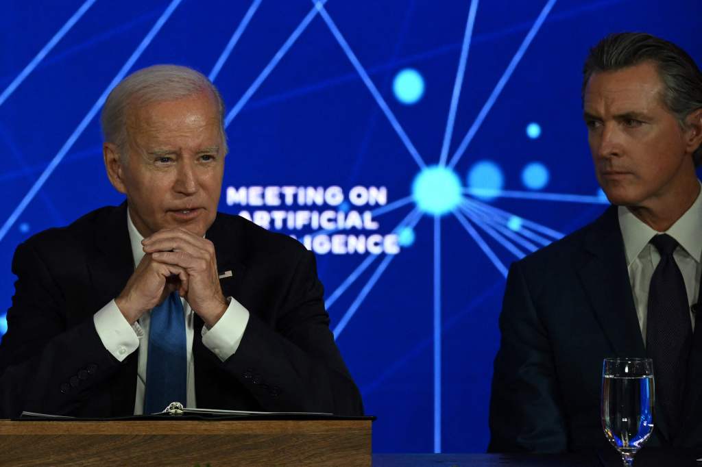 Gavin Newsom gambles on Joe Biden in hunt for 2028 presidential ...