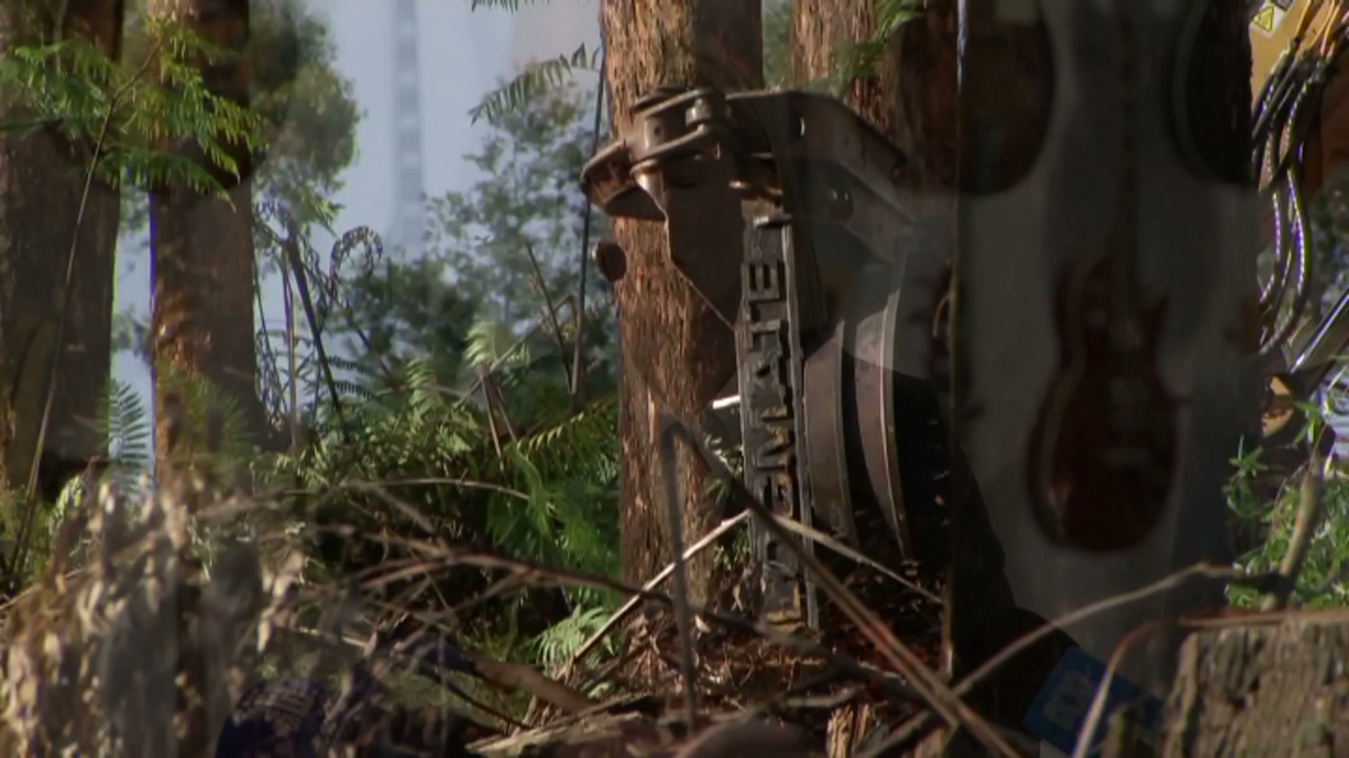 Victoria claims to have ended native forest logging. So where are these ...