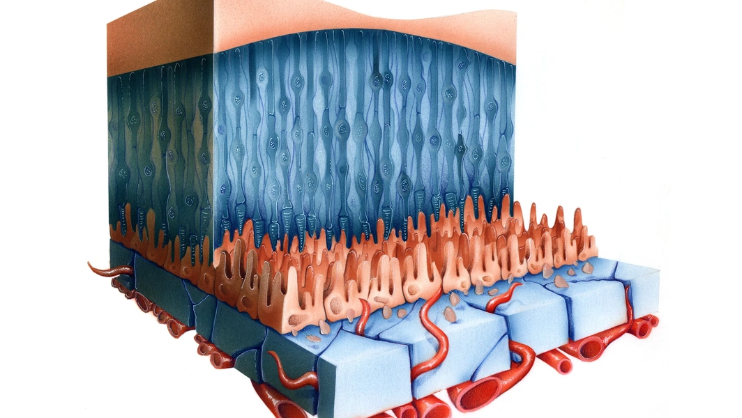 Advances in restoring sight through science