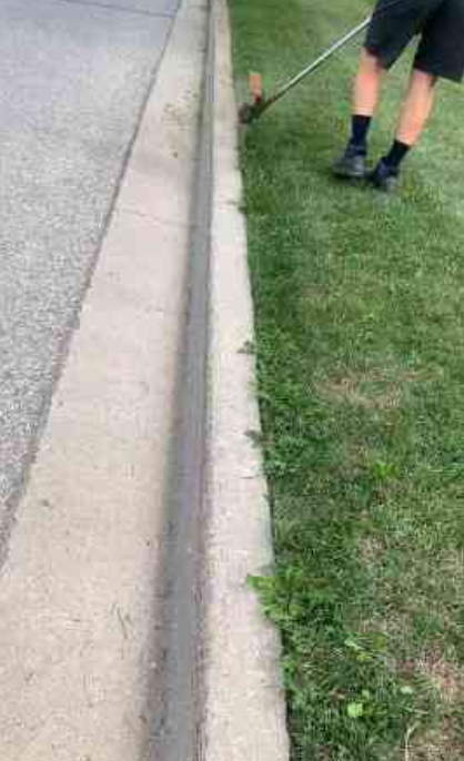 Unbelievable lawn transformation you have to see