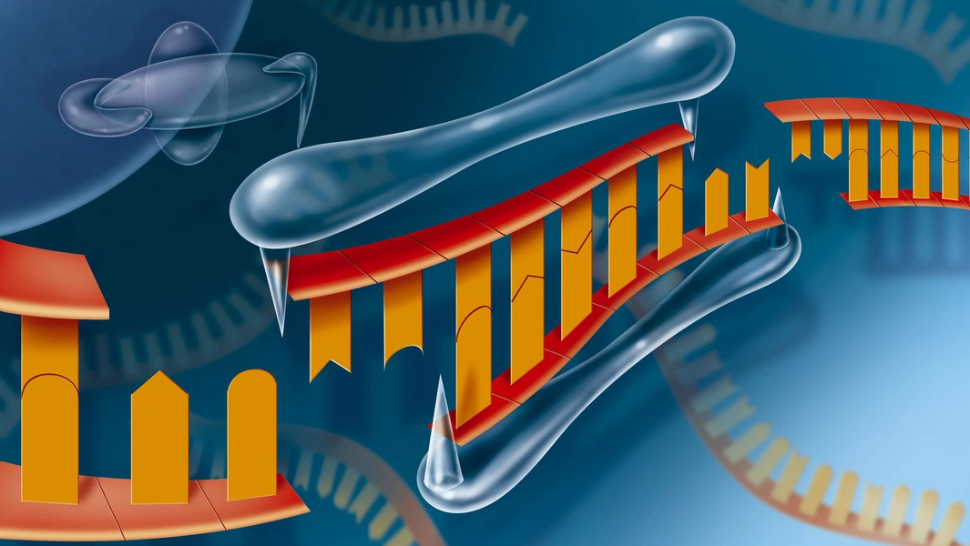RNA segment editing and its therapeutic potential