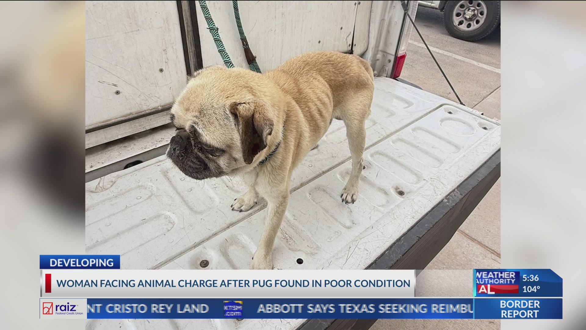 Owner wishes dog would 'just pass away already'; arrested