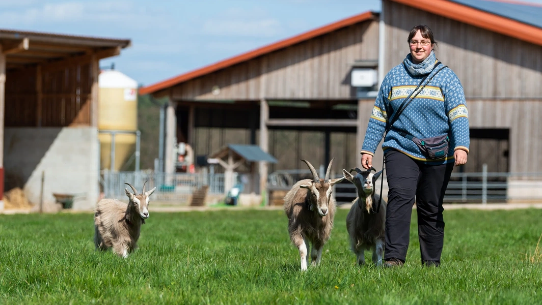 The benefits and practice of baby goat therapy