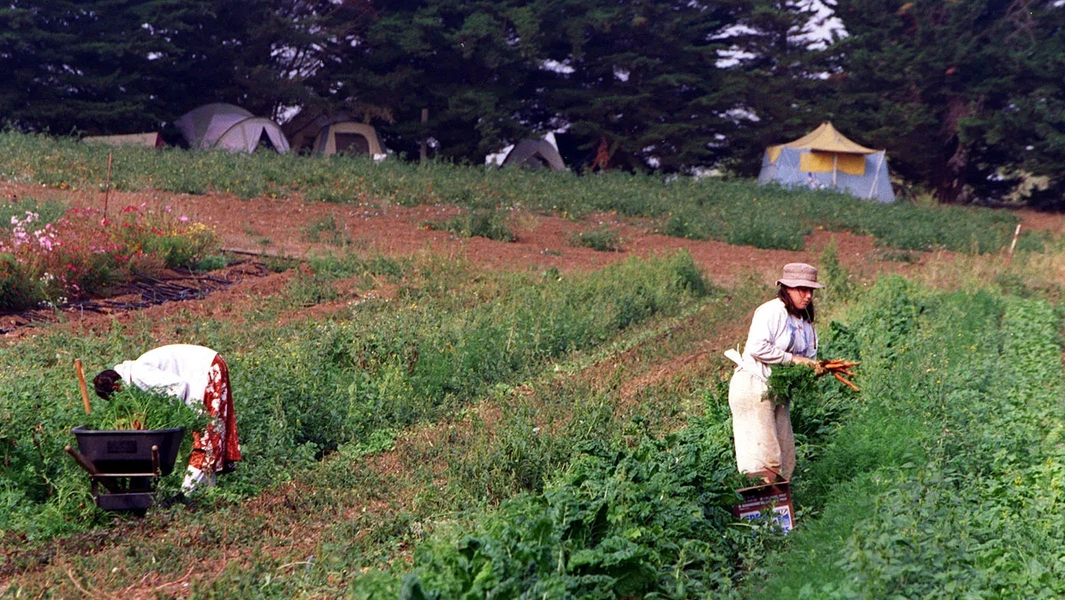 Healthy soils for farms, communities, and ecosystems