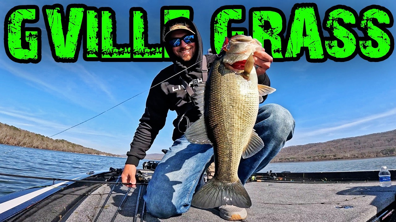 Bass Fishing Shallow Grass Lake Guntersville