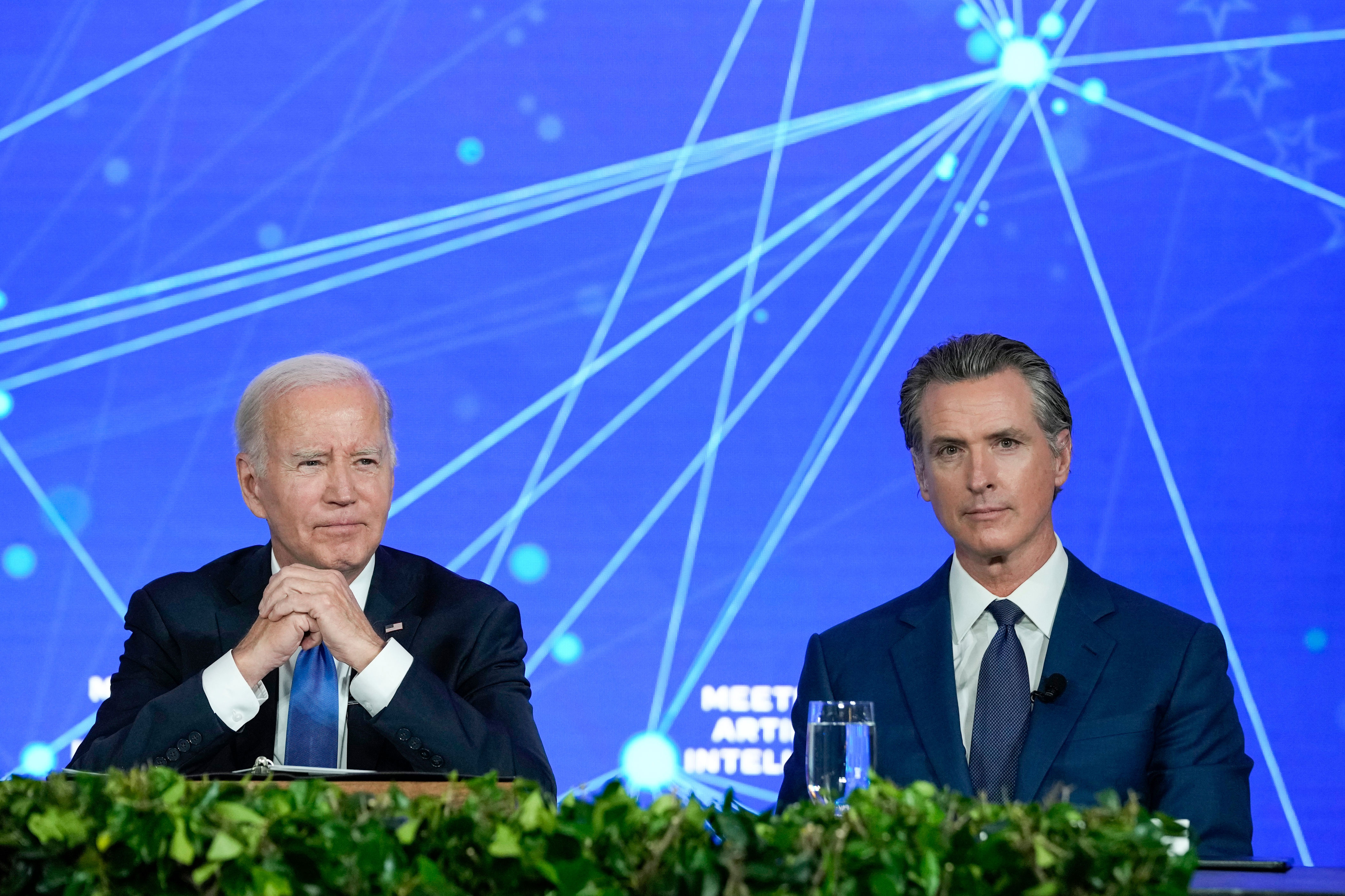 Gavin Newsom gambles on Joe Biden in hunt for 2028 presidential ...