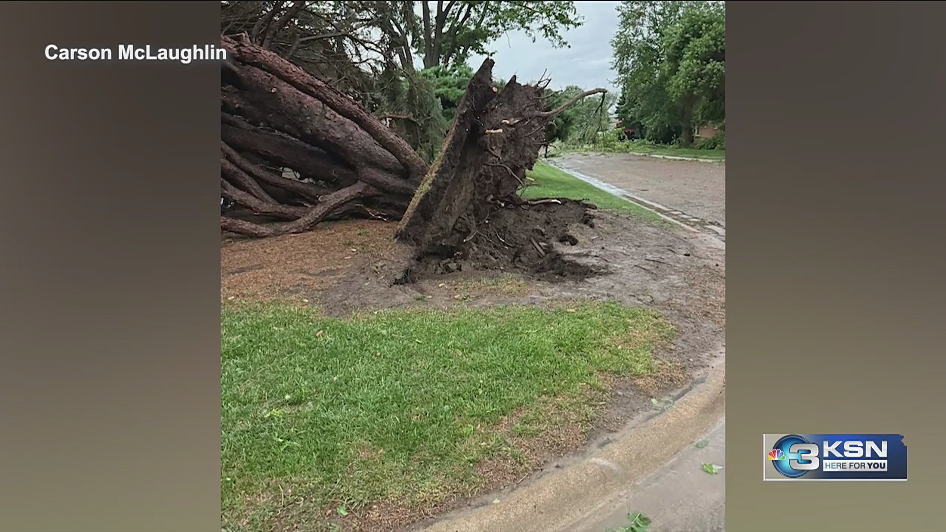 'It just looked like a warzone': Cleanup underway after storm tears ...