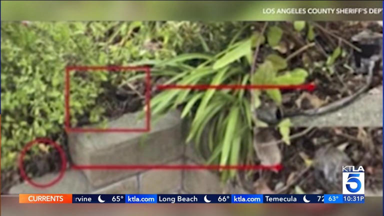 Brea Police issues warning after homeowner discovers creepy spying ...