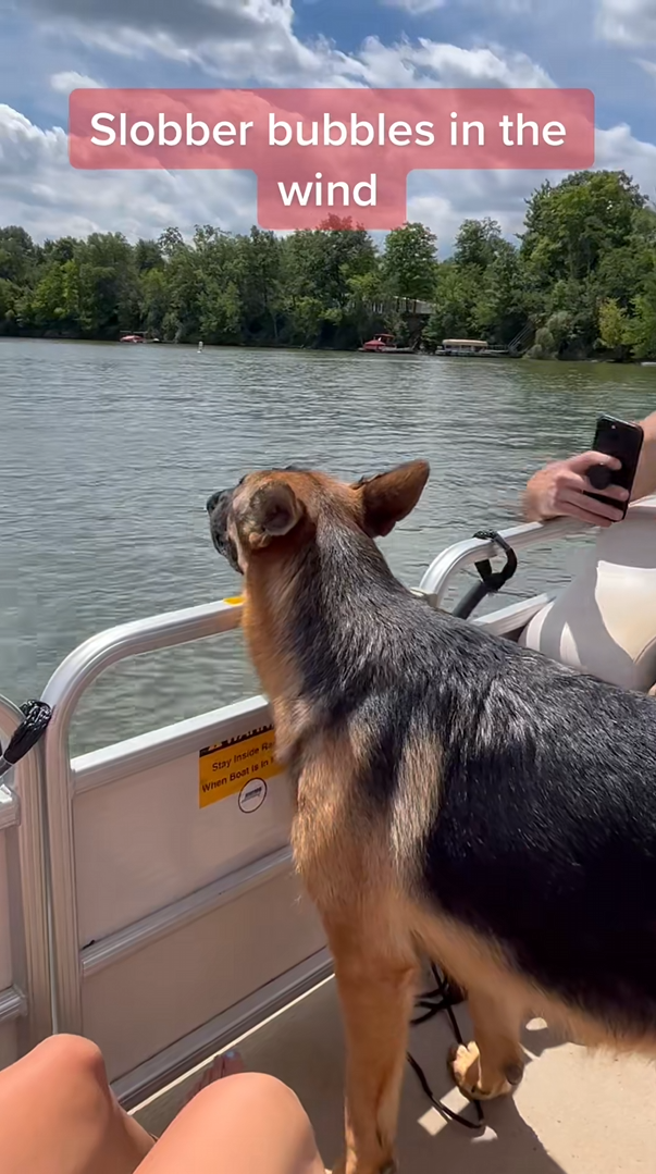 Slobber bubbles in the wind and a dog moment we’ll never forget