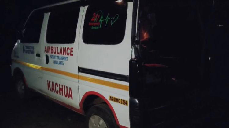 Two children from same household drown after falling into pond in Assam ...