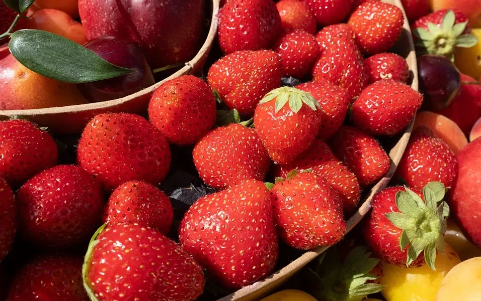 Keep your fruits fresh for longer