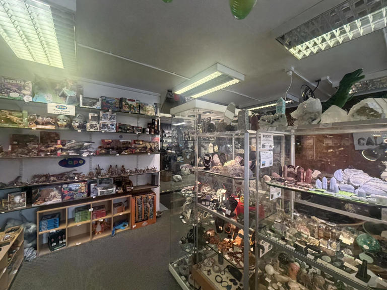 Inside the 'mini Jurassic Park' museum near Peterborough packed with ...
