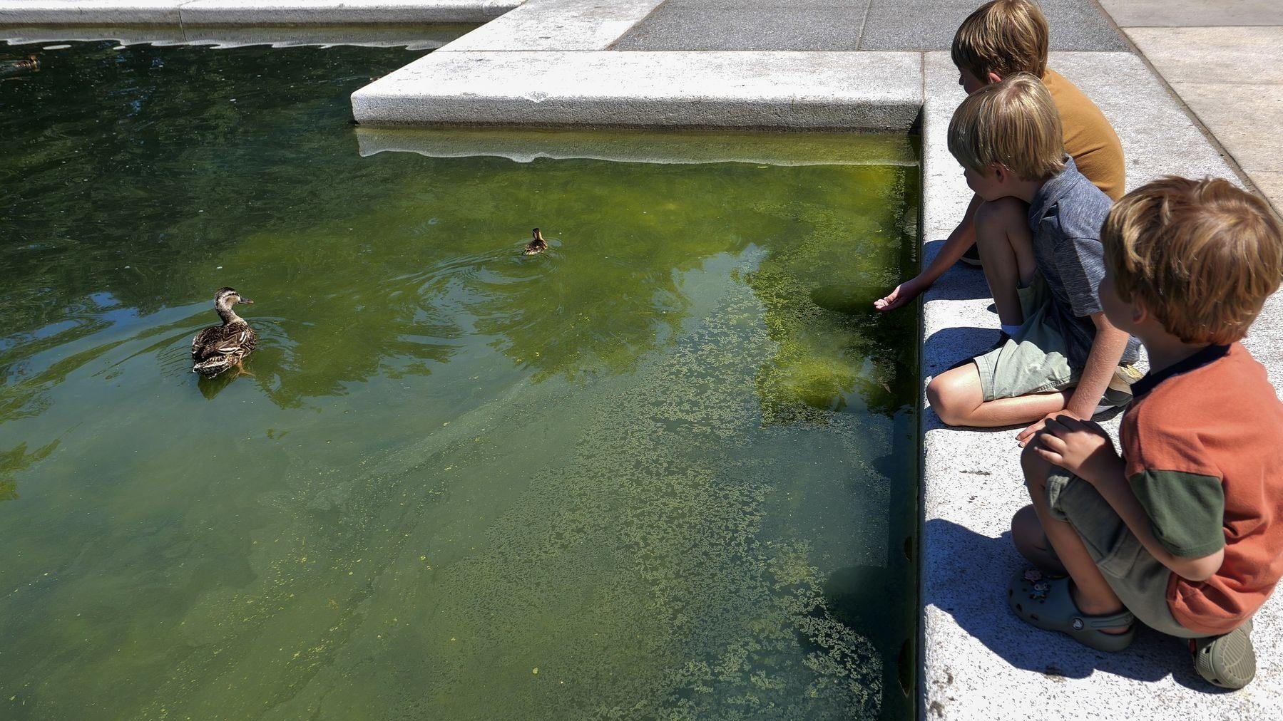 Mysterie i Washington: To døde ender funnet ved Reflecting Pool