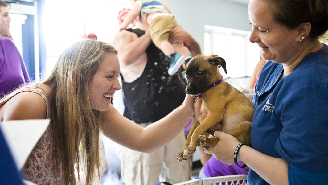 Helping Hands Humane Society’s summer adoption and care efforts
