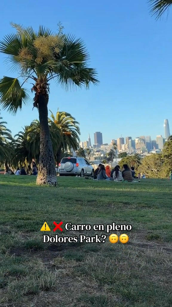24-year-old’s park rampage in SUV ends in cuffs after citywide chase