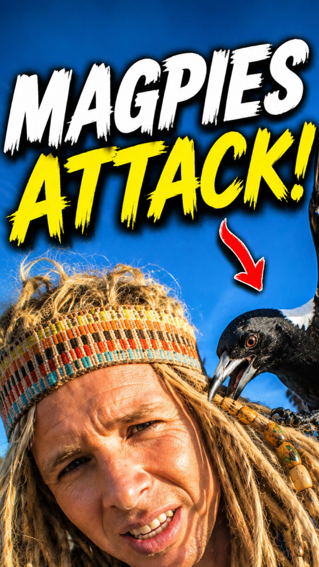 This bird has a fascination with hair beads