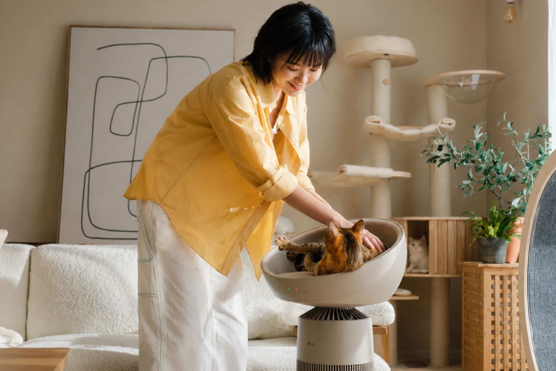 Original et inattendu, LG dévoile un arbre à chat chauffant, avec ...
