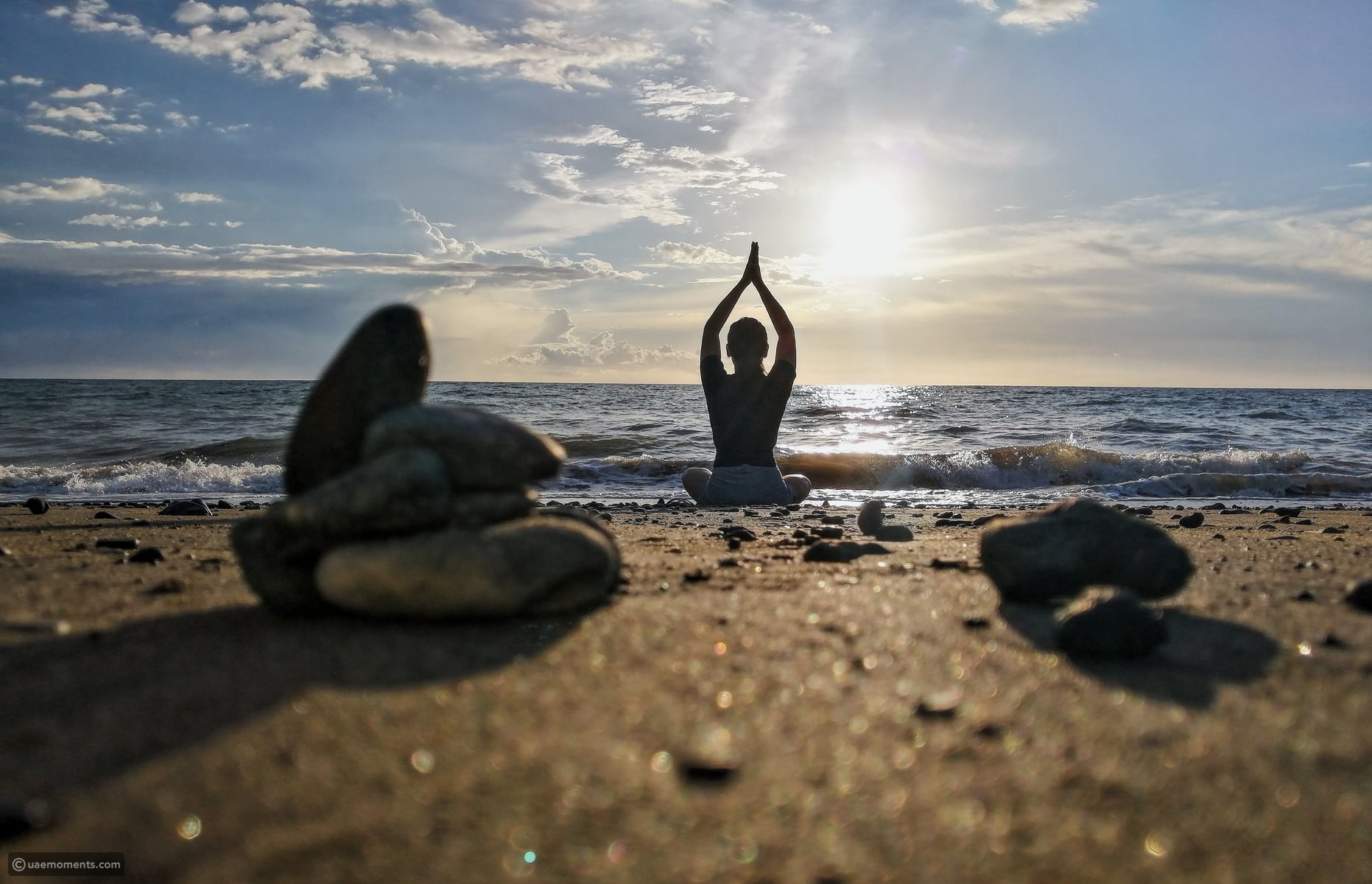 10 ikigai inspired daily habits that may support a longer, healthier life
