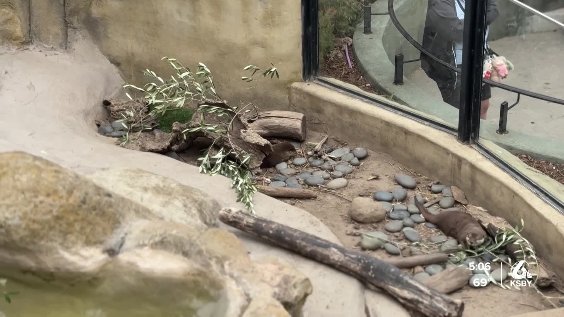Interactive Santa Barbara Zoo exhibit aims to boost conservation awareness