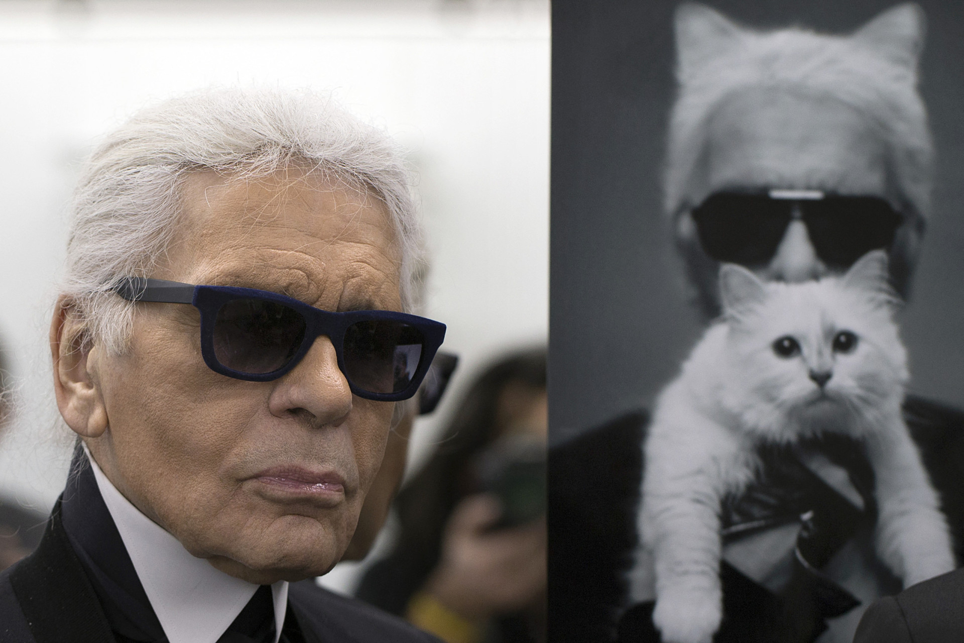 The growing trend of leaving millions to dogs and cats