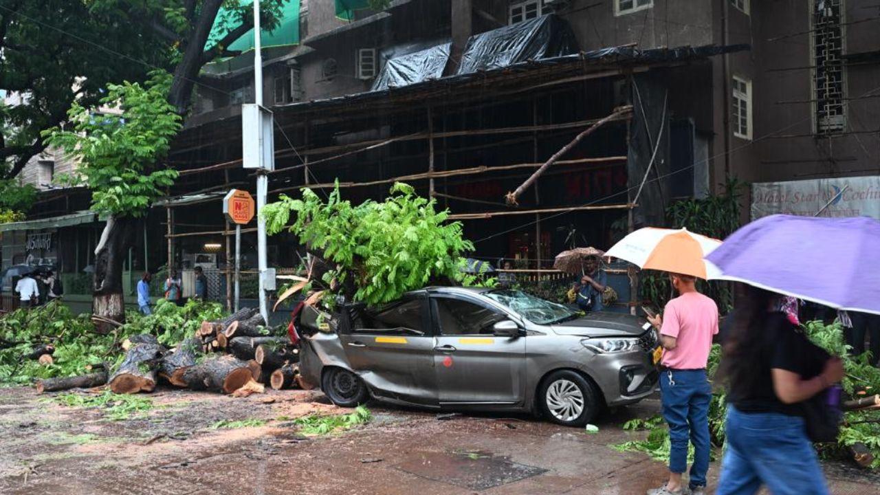 In photos tree collapses on parked car at Dadar TT Circle amid heavy ...