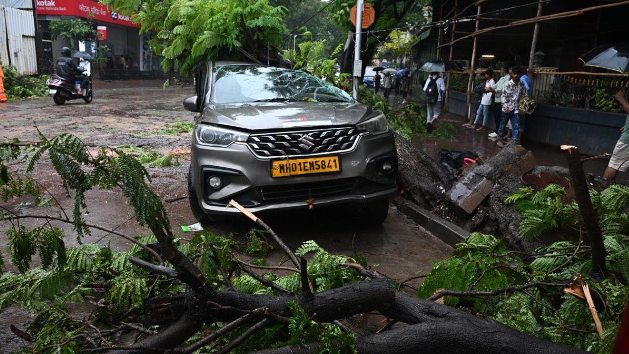 In photos tree collapses on parked car at Dadar TT Circle amid heavy ...