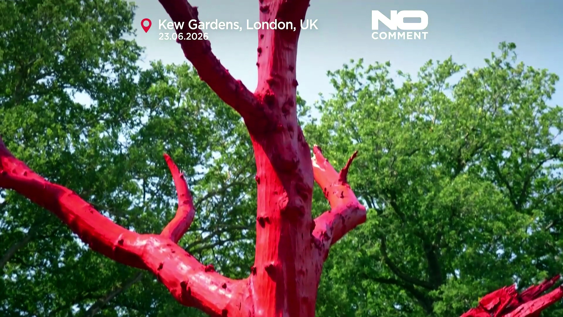 Dead tree painted red to highlight climate change impact
