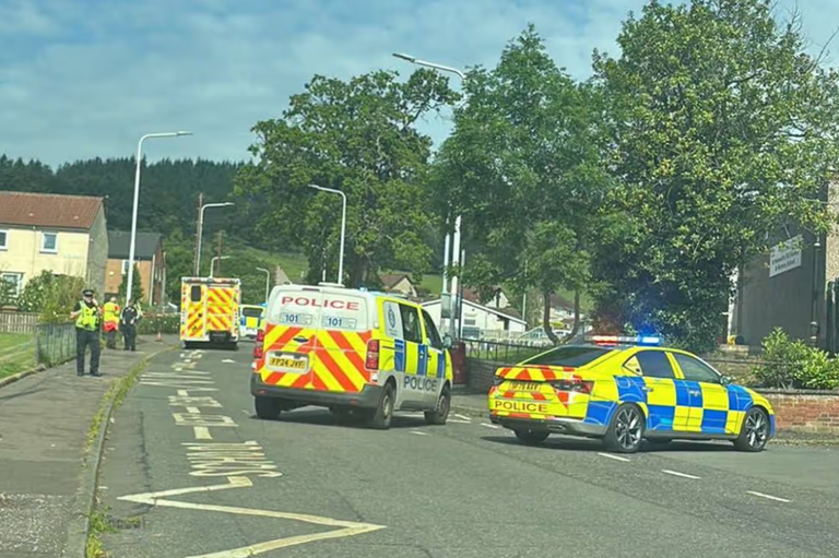 Driverless car hits pensioner lollipop man outside Scottish primary school