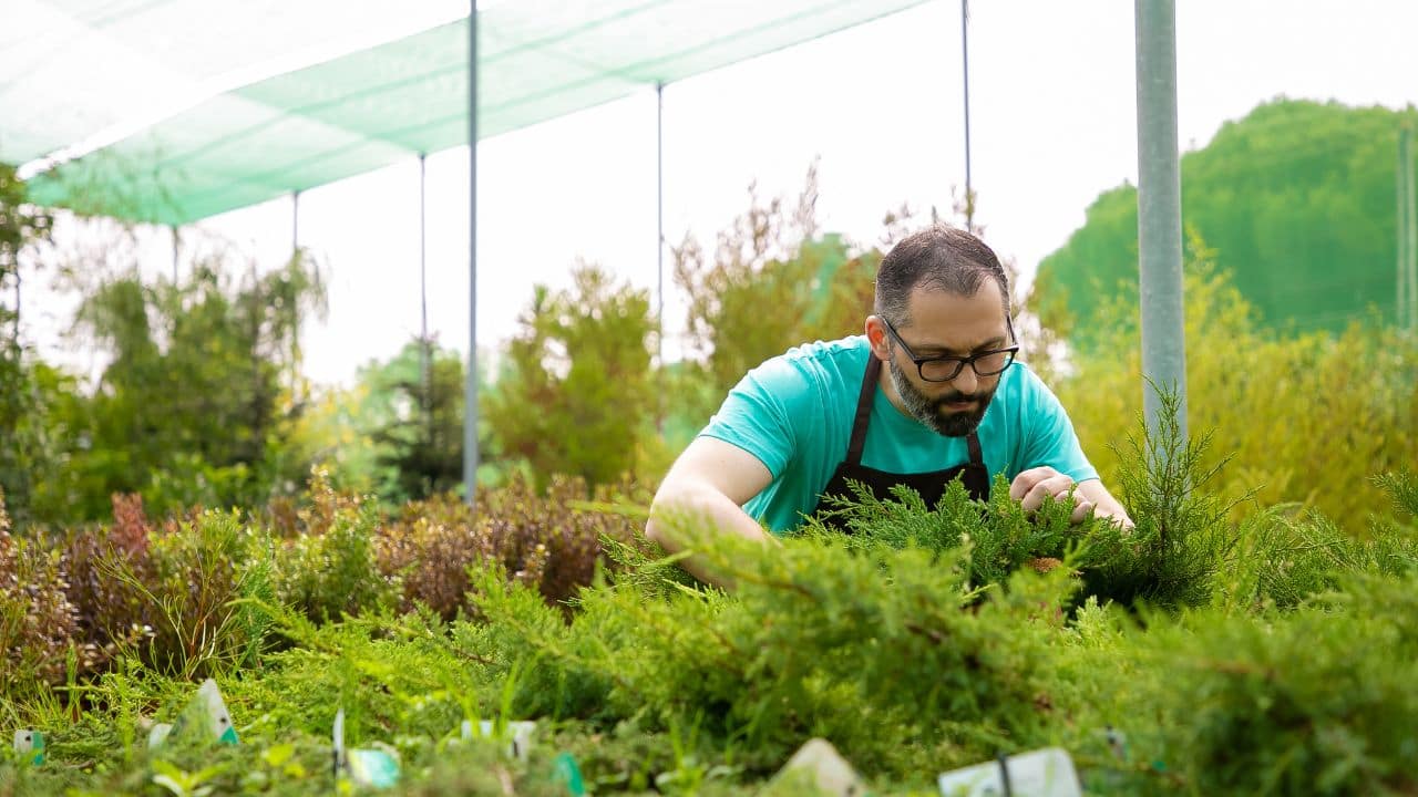 No NEET? No problem: Top 7 government jobs biology students can pursue ...