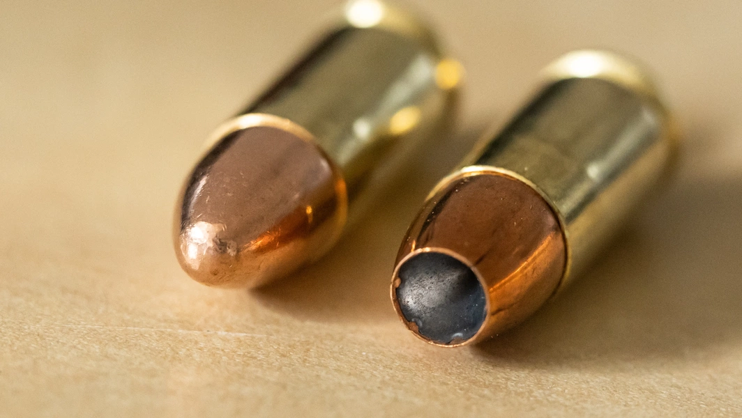8 handgun calibers ill-suited for bear defense