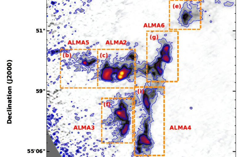 ALMA spots a nine-member stellar family in the act of formation