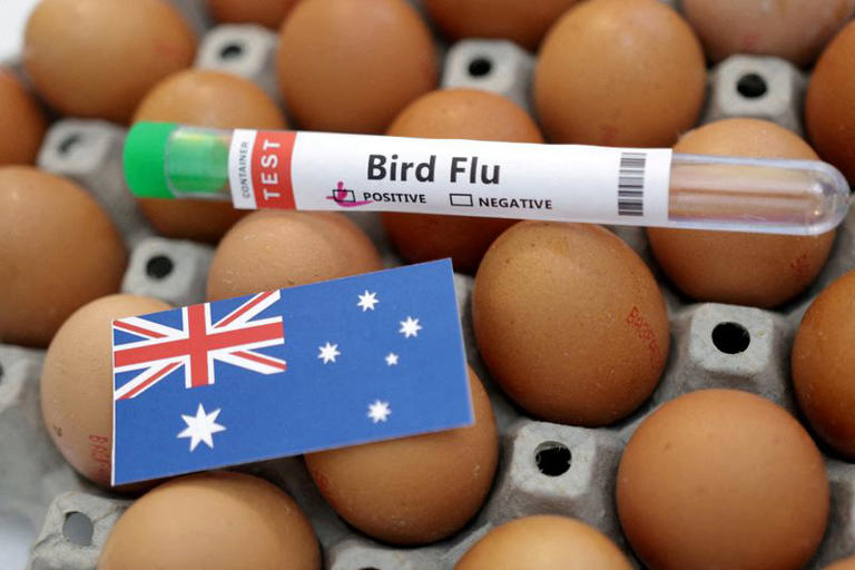 L’Australie renforce la surveillance après un nouveau cas de grippe ...