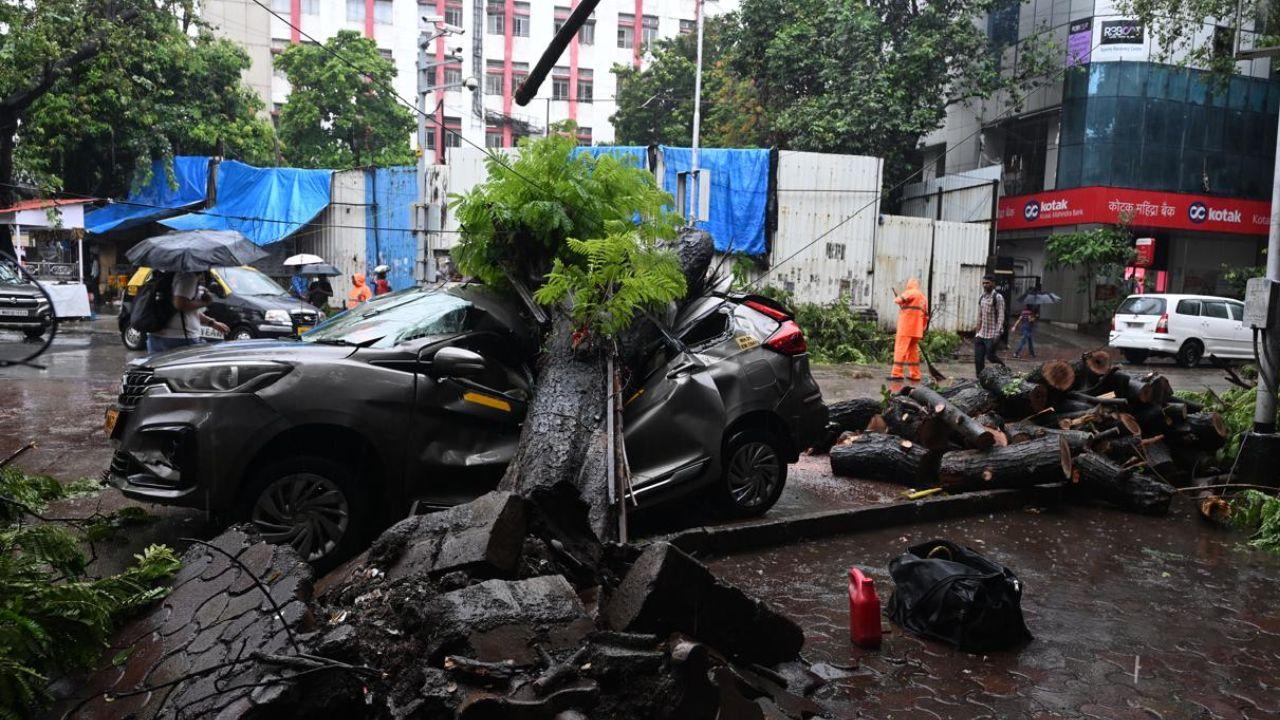 In photos tree collapses on parked car at Dadar TT Circle amid heavy ...