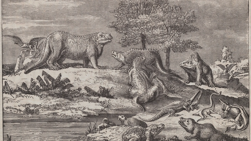 13 strange and fascinating prehistoric creatures