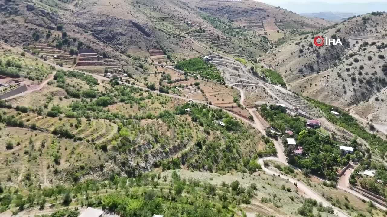 Hasat başladı, 3 bin TL yevmiyeye işçi bulamıyorlar