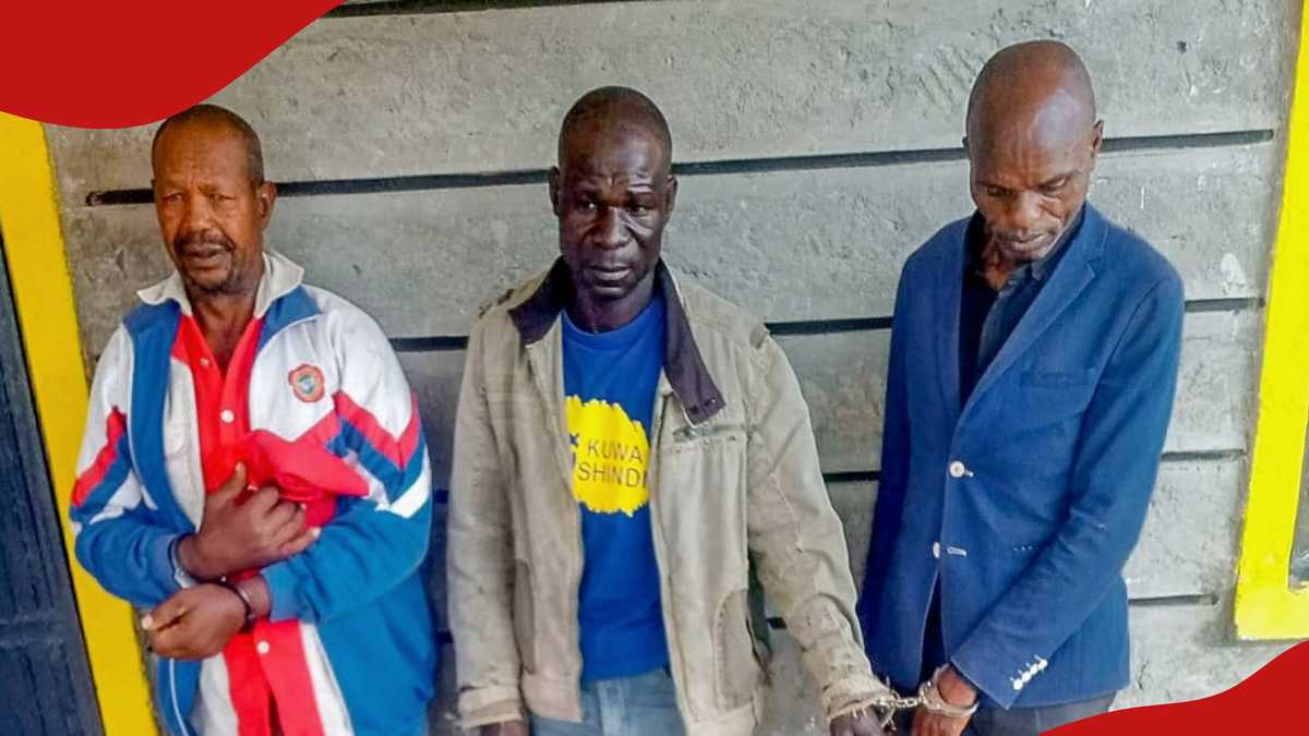 Laikipia: Undercover operation nets 3 suspected poachers, recovers 6 ...