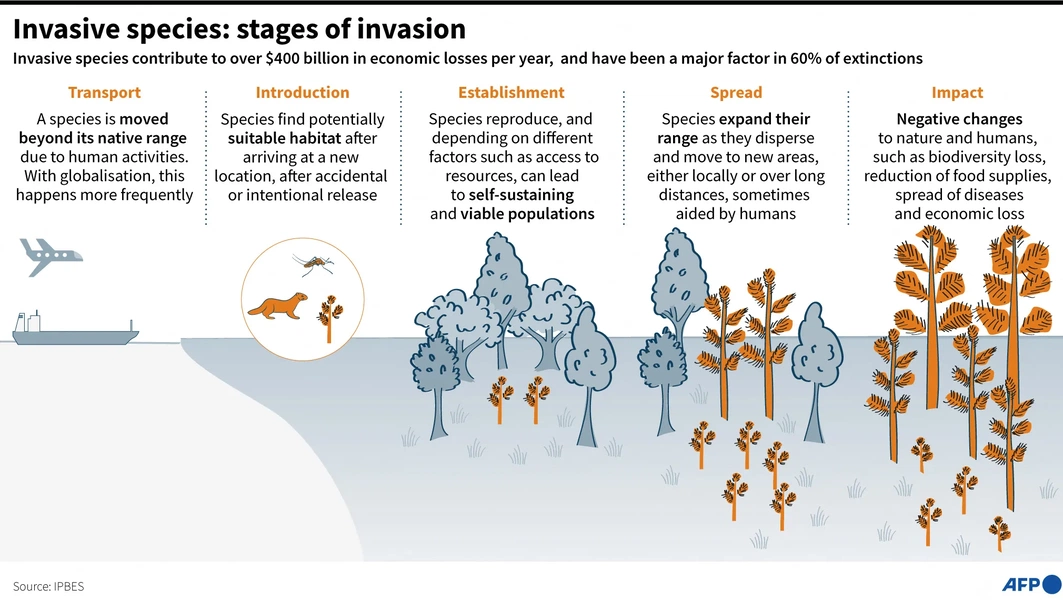 Invasive species impacts and responses in the US