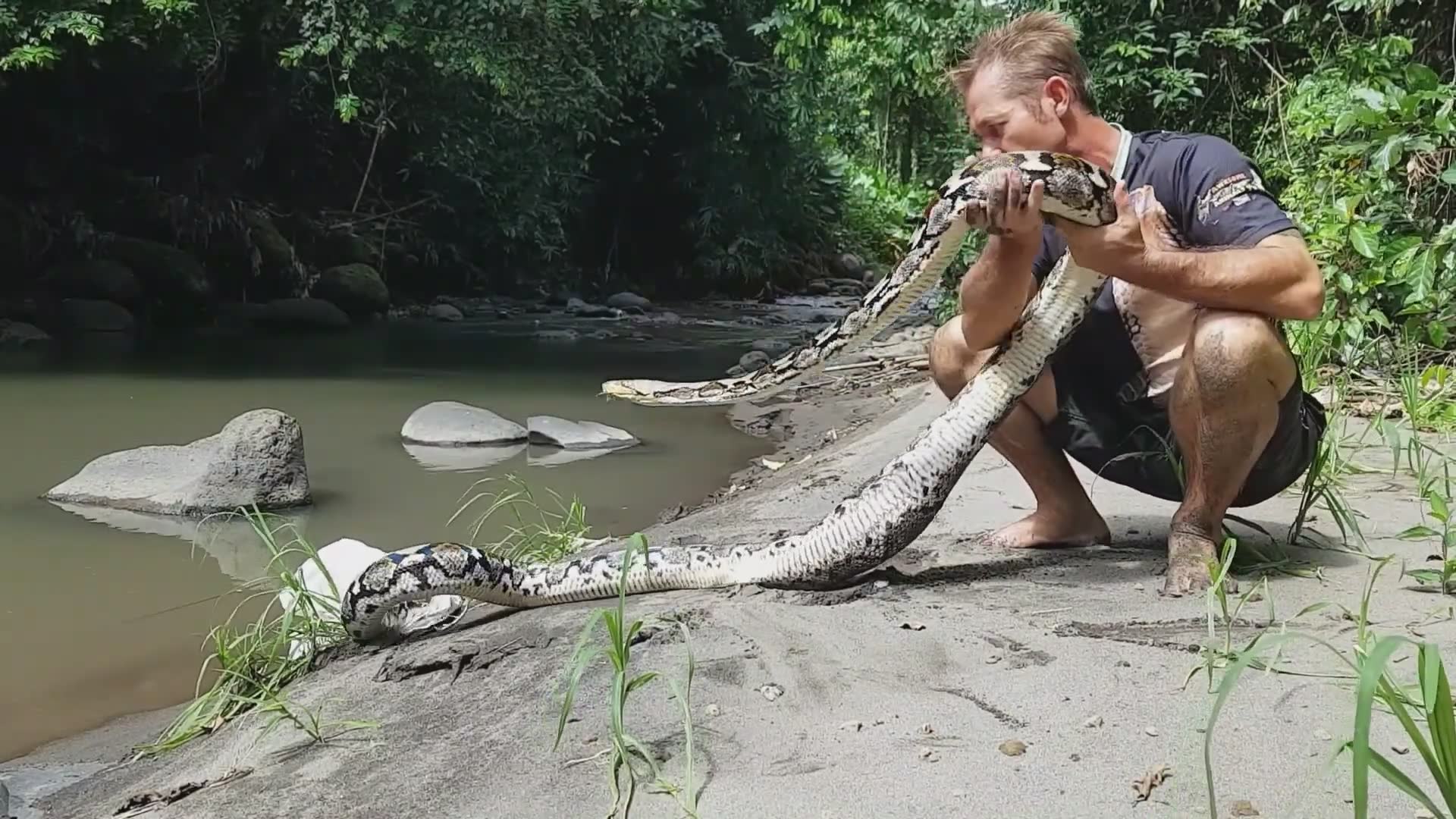 World's biggest snakes with the snake man