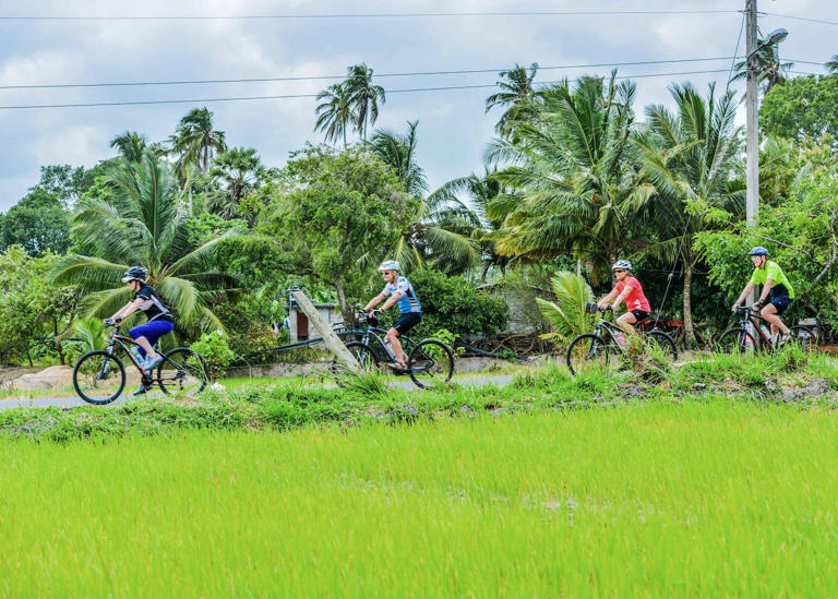 Inspired by Tour de France: 5 epic cycling holidays to explore the ...
