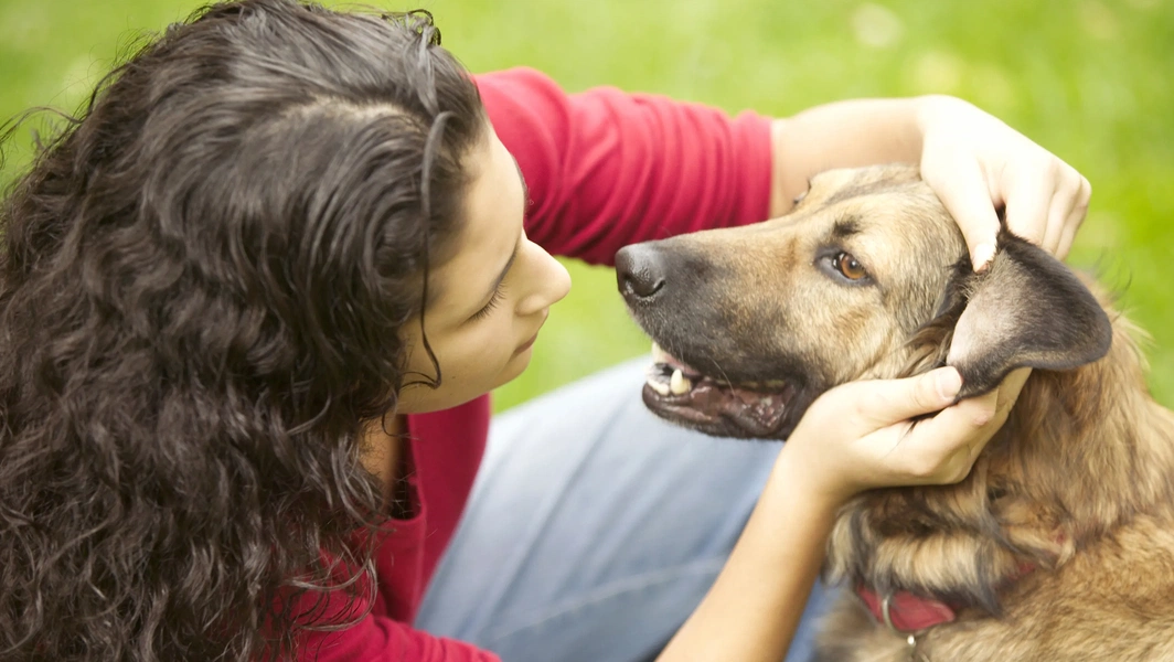 9 common triggers that stress out dogs