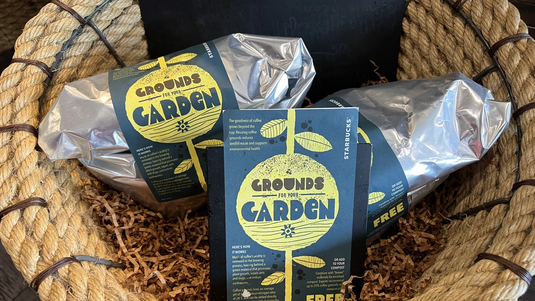 Using coffee grounds to improve garden soil