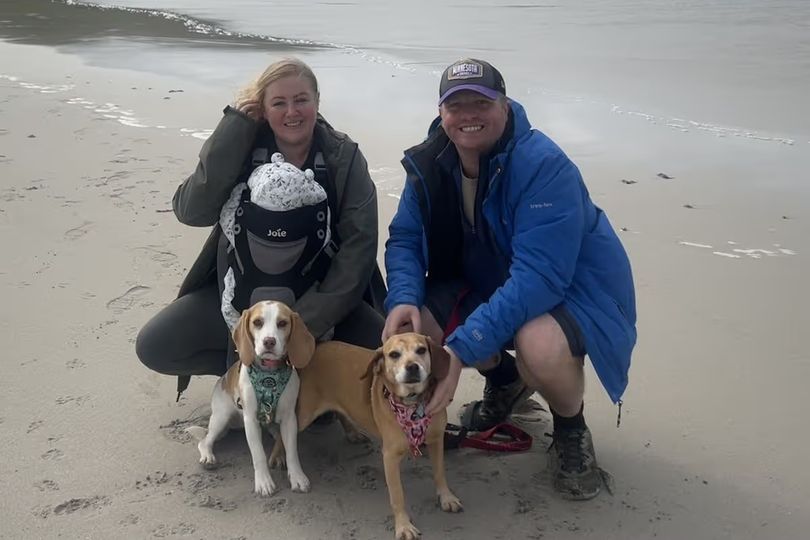 Dog 'mauled to death' and owner left with broken hand after Bullmastiff ...