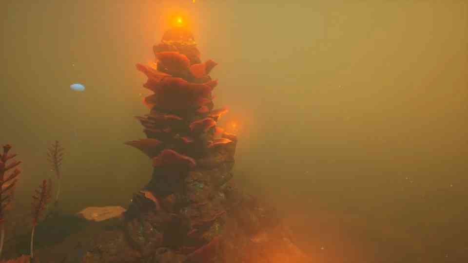 The alien ocean that makes Earth look boring
